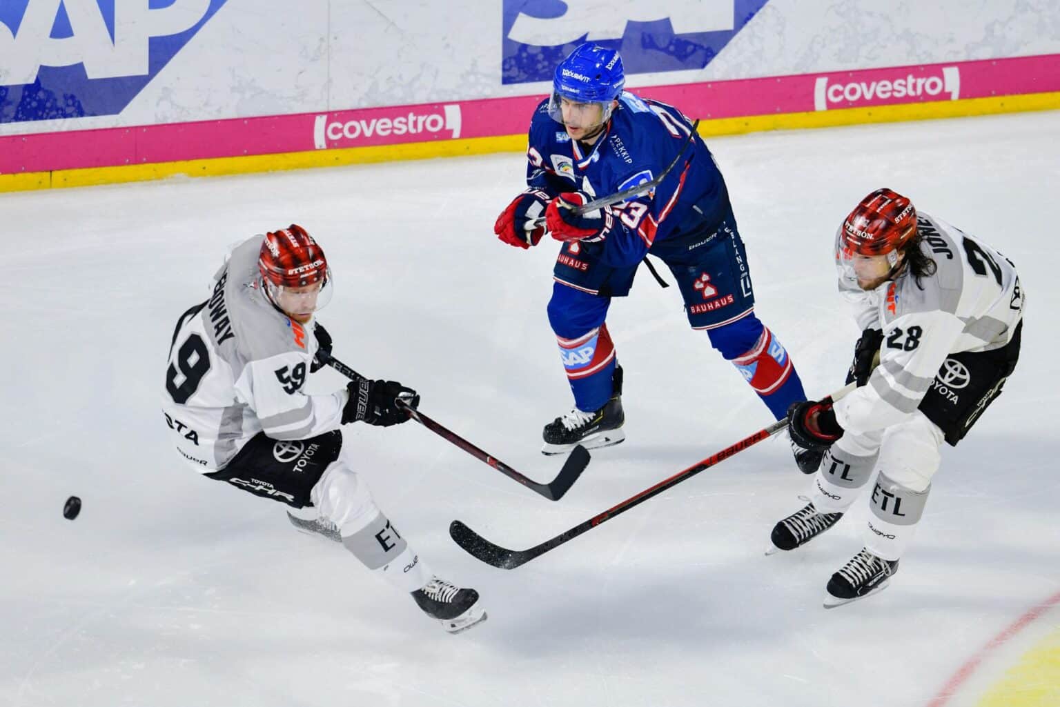 CHL Live Stream kostenlos - Jetzt legal streamen!