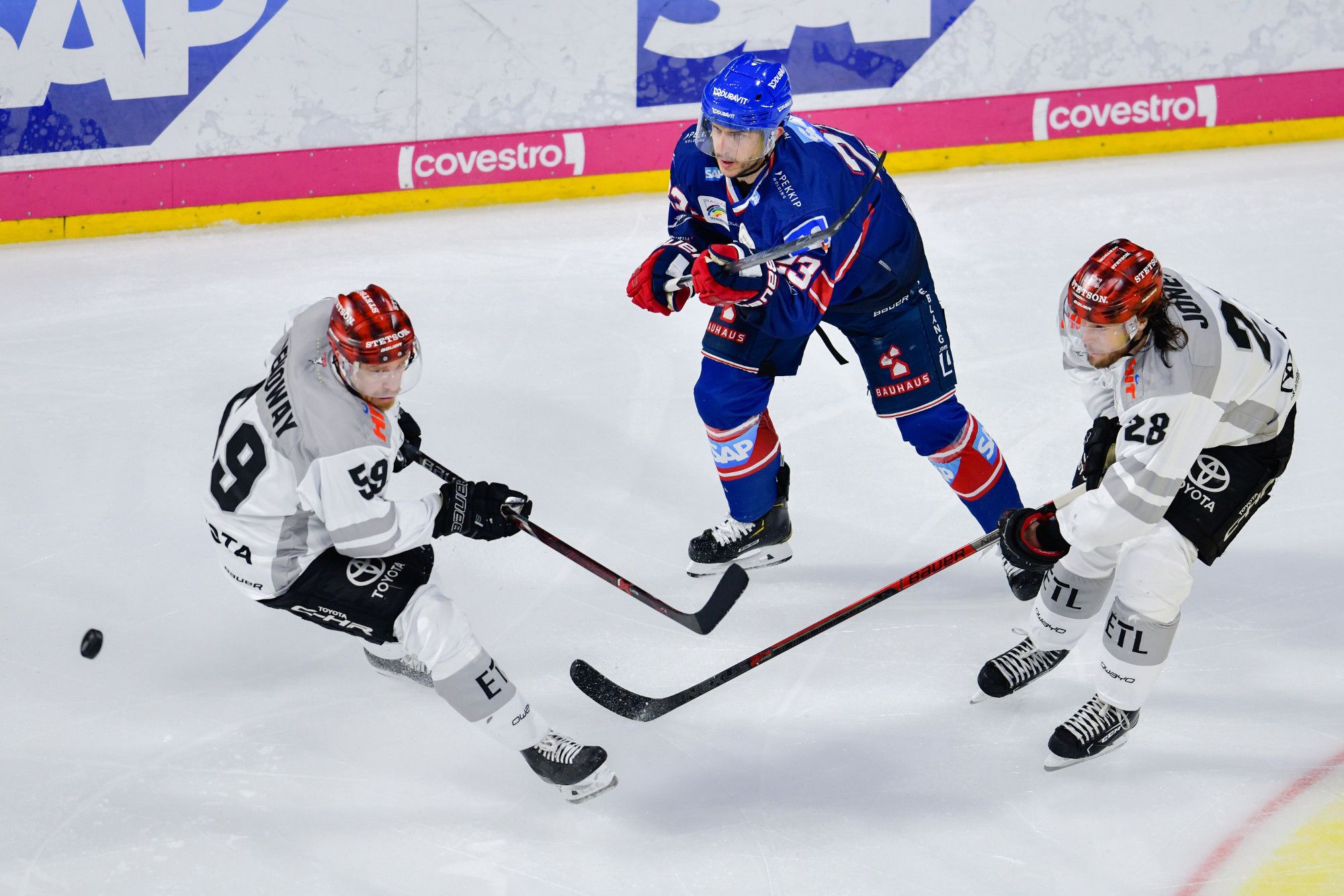 CHL Live Stream kostenlos - Jetzt legal streamen!